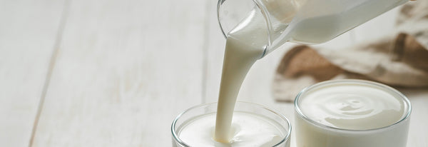 When is the Best Time to Take Probiotics for Optimal Gut Health ...